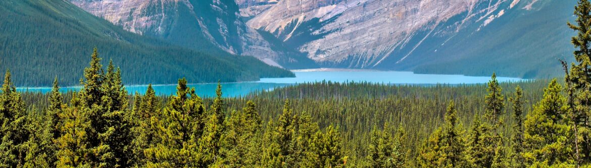 About - Sharptail Inspection Services